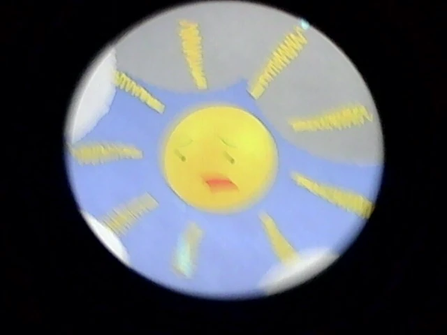 Sunny | Lazoo Wiki | Fandom
