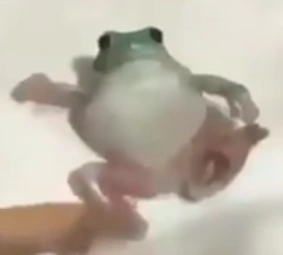 LBDC | Wiki LBDC | Fandom