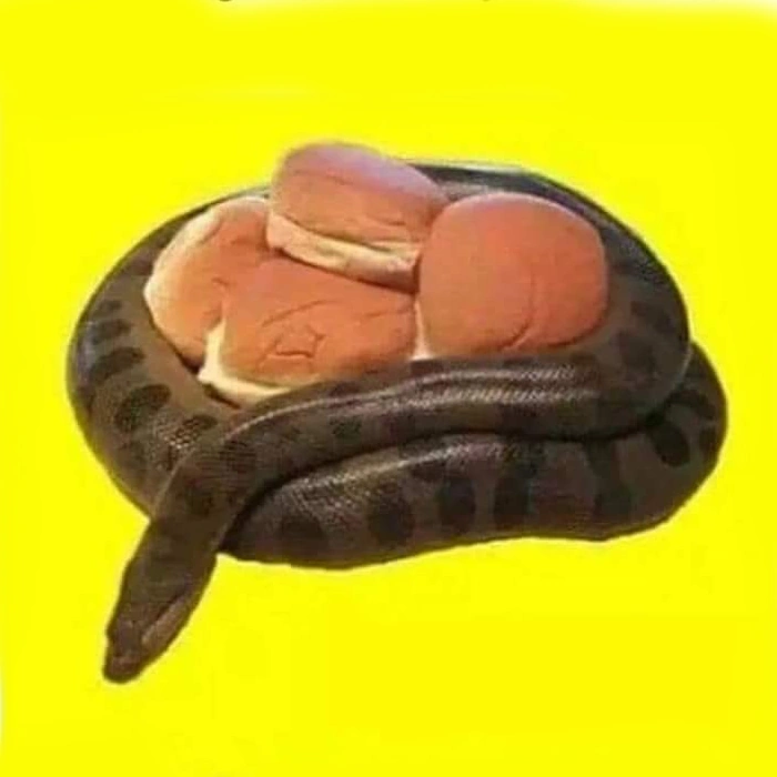 Momo | Wiki LBDC | Fandom