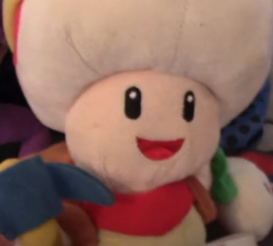 Captain Toad | LC50 Wiki | Fandom