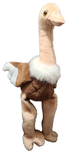 Stretch | LC50 Wiki | Fandom