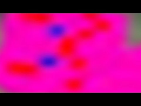 Ingus | LC50 Wiki | Fandom