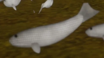 Para Fish | Lccomicsnew Wiki | Fandom