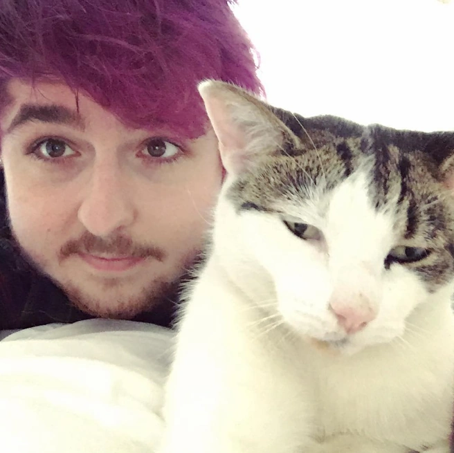 SmallishBeans/Gallery | LDShadowLady Wiki | Fandom