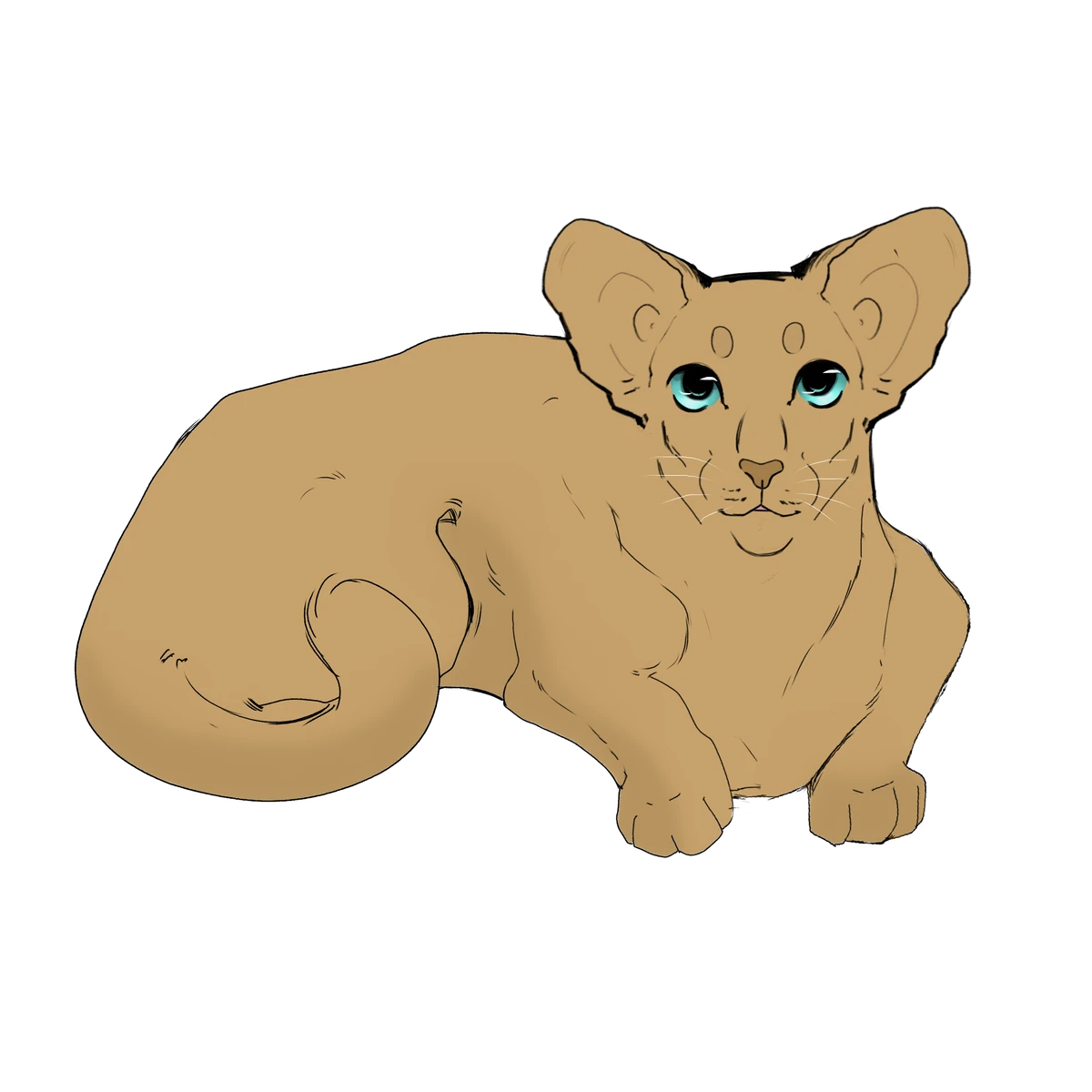 Sentier de Braise | Wiki Le Clan de la Brume | Fandom