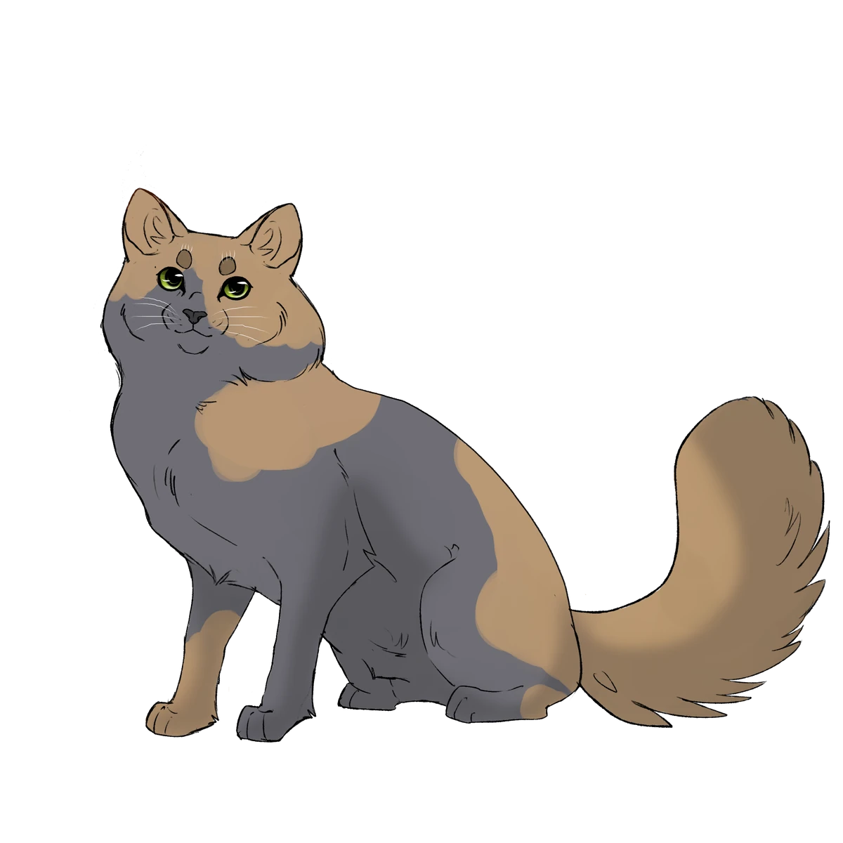 Nuage de Couleuvre | Wiki Le Clan de la Brume | Fandom