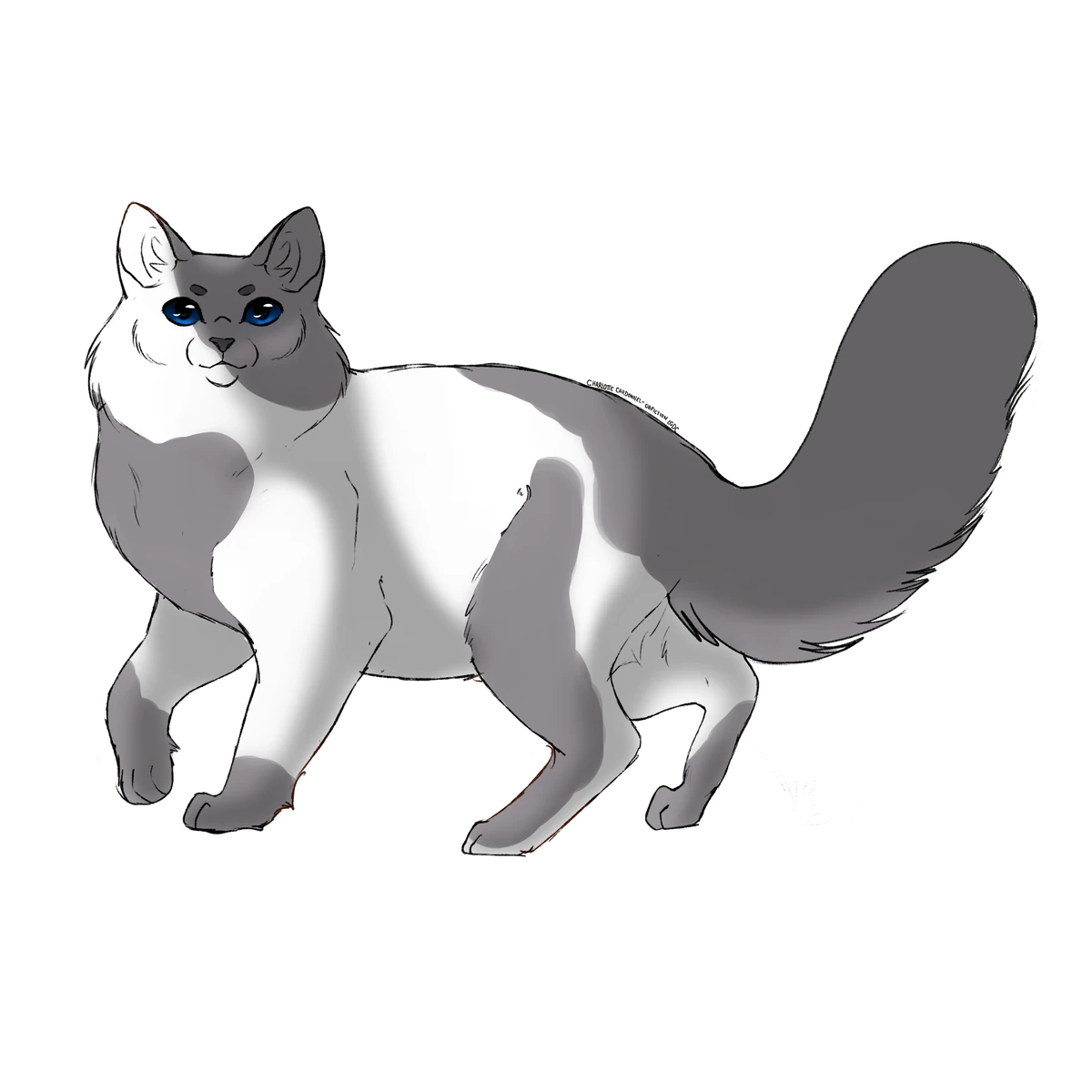 Mousse Neigeuse | Wiki Le Clan de la Brume | Fandom