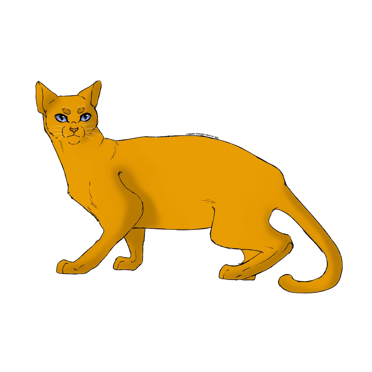 Saïga des Steppes | Wiki Le Clan de la Brume | Fandom