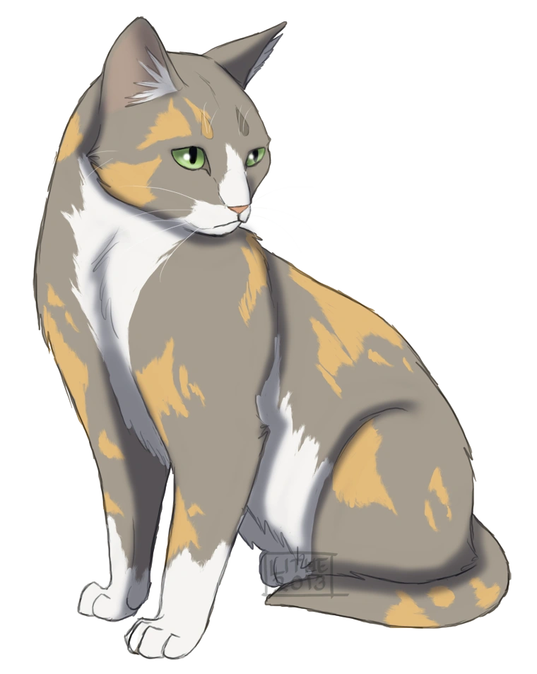 Fleur de Roche | Wiki Le Clan de la Prairie | Fandom