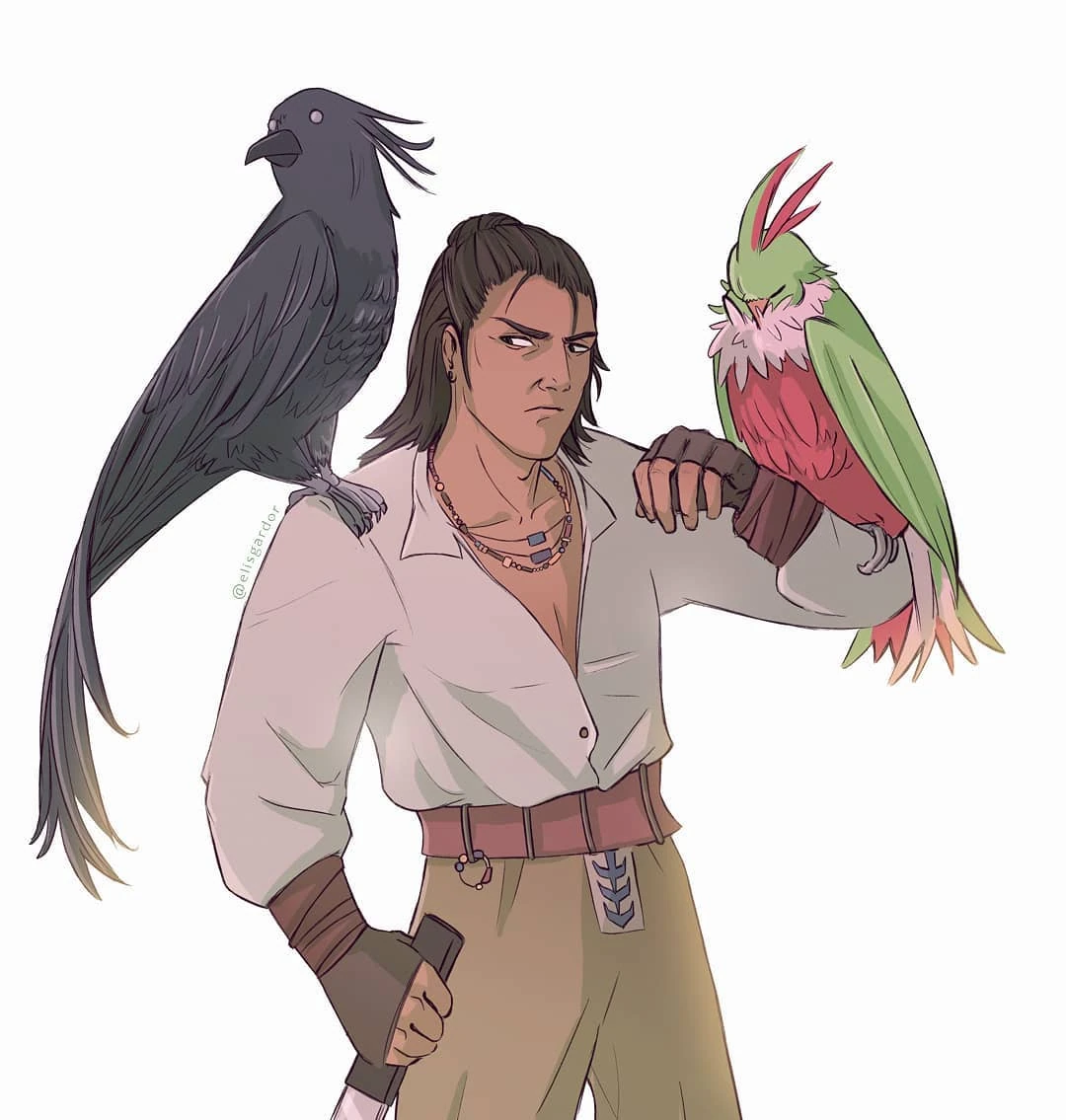 Aviar | Le Cronache della Folgoluce Wiki | Fandom