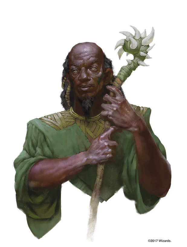 Qawasha | Wiki Le Monde des Royaumes Oubliés | Fandom