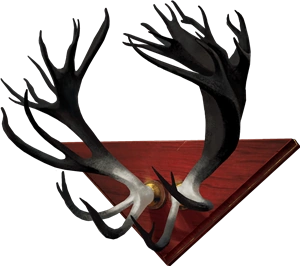 Église de Beshaba | Wiki Le Monde des Royaumes Oubliés | Fandom