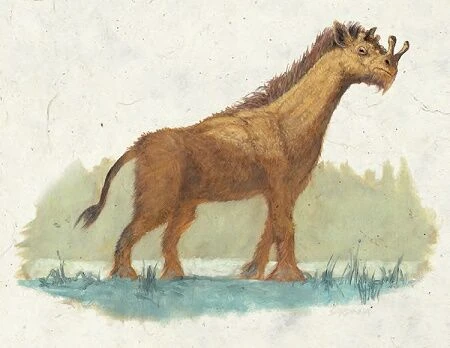 Branta | Wiki Le Monde des Royaumes Oubliés | Fandom