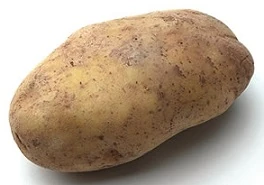 Potatos | Le Shepherds Wikia | Fandom