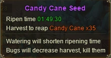 Candy Cane Seed | League of Angels Wiki | Fandom