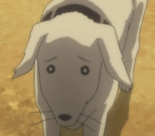 User blog:AlexHawks/Dihoggy - The best friend | League of Legends Wiki ...