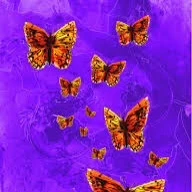 User blog:Jared Grace/Sera, Queen of Blue Butterflies | League of ...