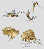 Gnar | Wiki League of Legends | Fandom