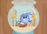 Numbers Ahoy! | Leap Frog Wiki | Fandom