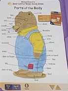 Parts of the Body | Leap Frog Wiki | Fandom