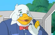 Mr. Websley | Leapipedia Wiki | Fandom
