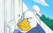 Mr. Websley | Leapipedia Wiki | Fandom