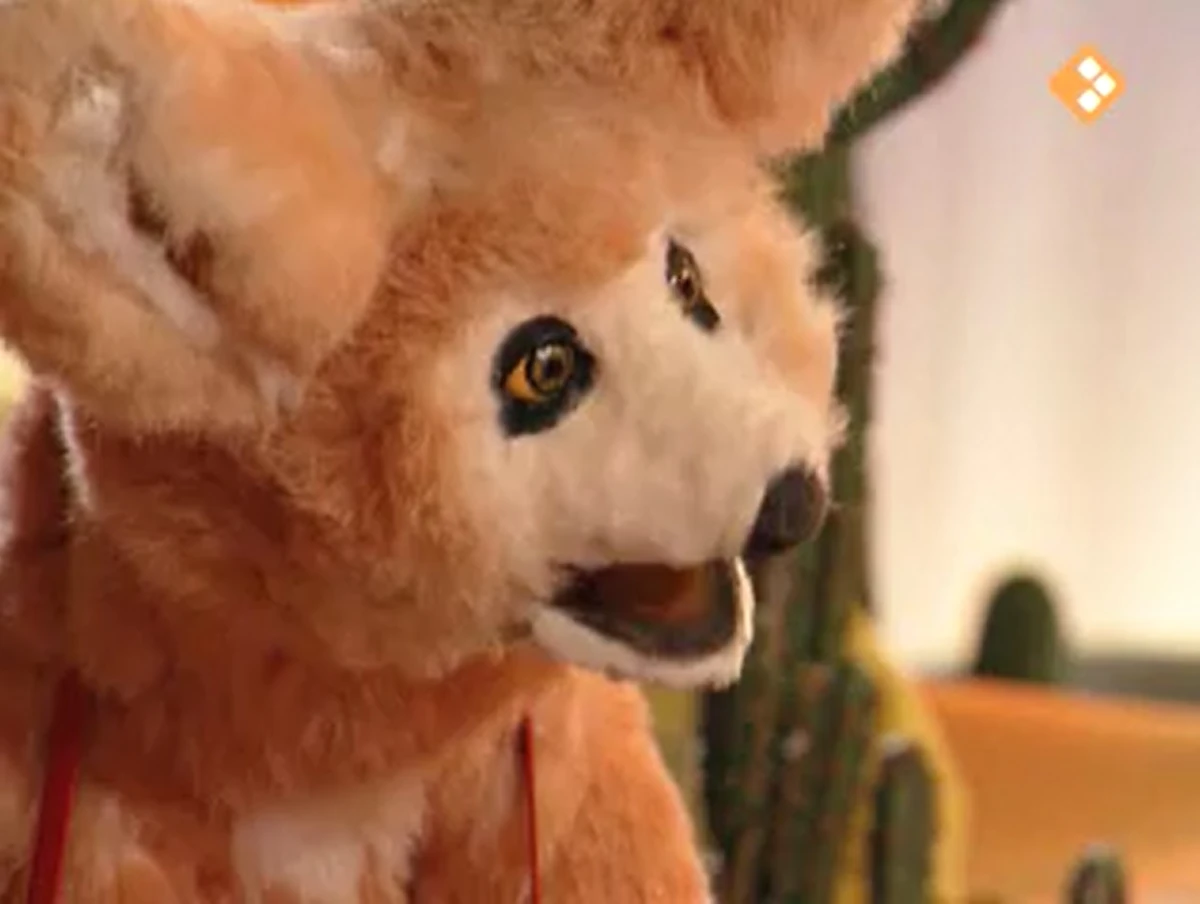 Vosje | Leesdas Lettervos Boekentas wiki | Fandom