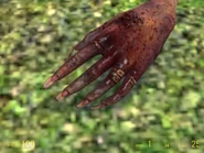 The Spitter/Gallery Archive | Left 4 Dead Wiki | Fandom