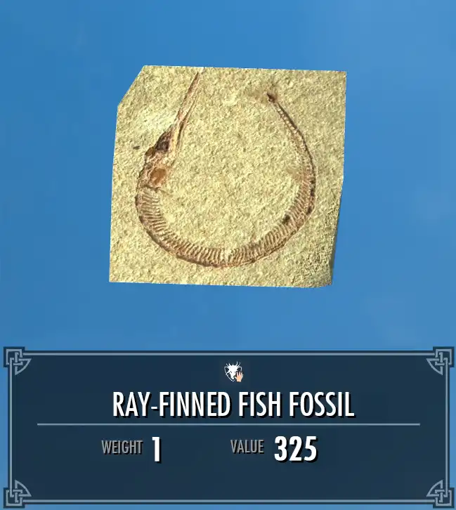 Ray-finned Fish Fossil | Legacy of the Dragonborn | Fandom