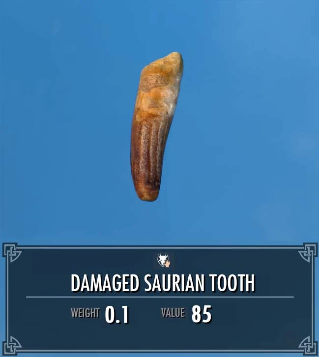 Damaged Saurian Tooth | Legacy of the Dragonborn | Fandom