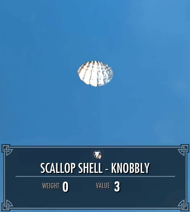 Scallop Shell - Knobbly | Legacy of the Dragonborn | Fandom