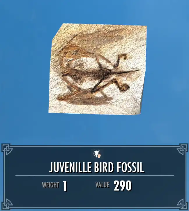 Juvenille Bird Fossil Legacy Of The Dragonborn Fandom