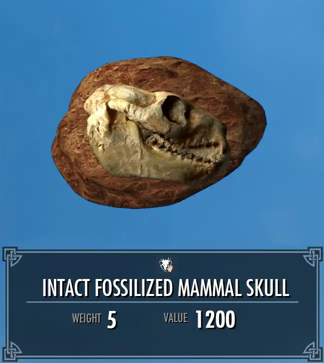 Intact Fossilized Mammal Skull Legacy Of The Dragonborn Fandom