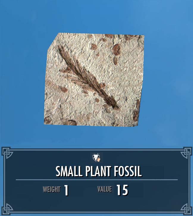 Small Plant Fossil Legacy Of The Dragonborn Fandom