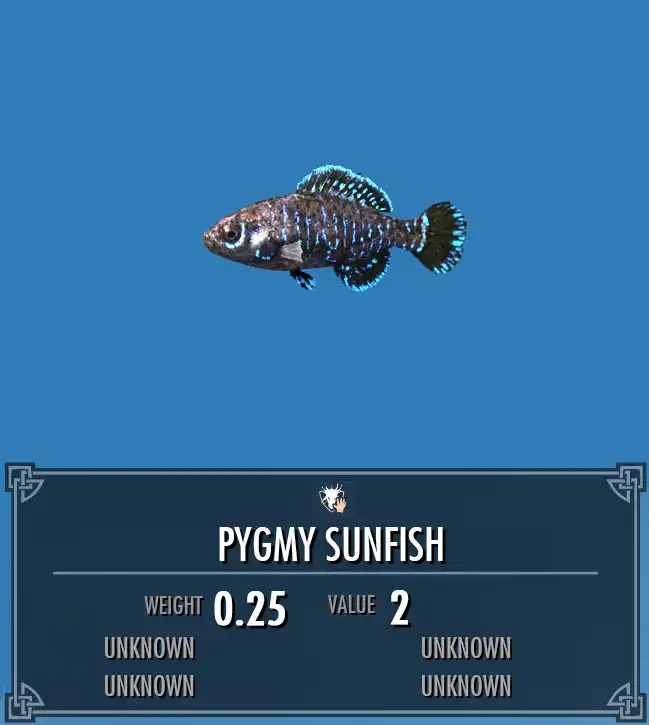 Pygmy Sunfish | Legacy of the Dragonborn | Fandom
