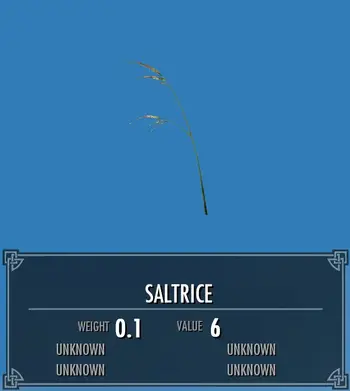 Saltrice | Legacy of the Dragonborn | Fandom