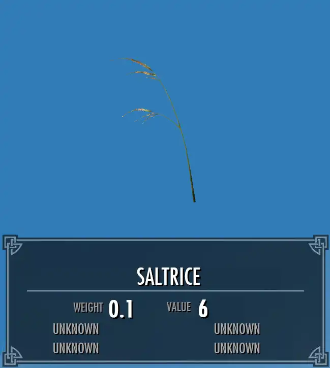 Saltrice | Legacy of the Dragonborn | Fandom
