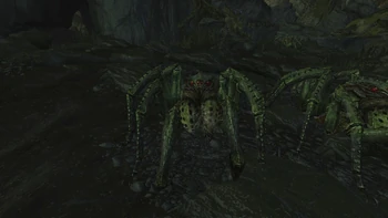 Jungle Queen Hatchling | Legacy of the Dragonborn | Fandom