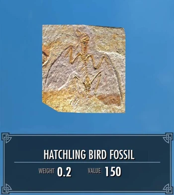 Hatchling Bird Fossil | Legacy of the Dragonborn | Fandom