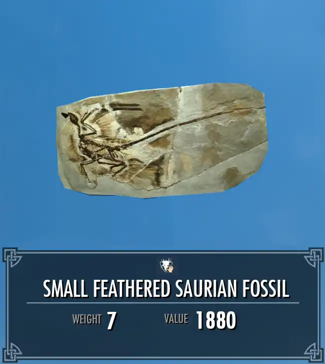 Small Feathered Saurian Fossil Legacy Of The Dragonborn Fandom