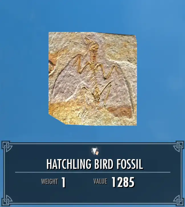 Hatchling Bird Fossil Legacy Of The Dragonborn Fandom