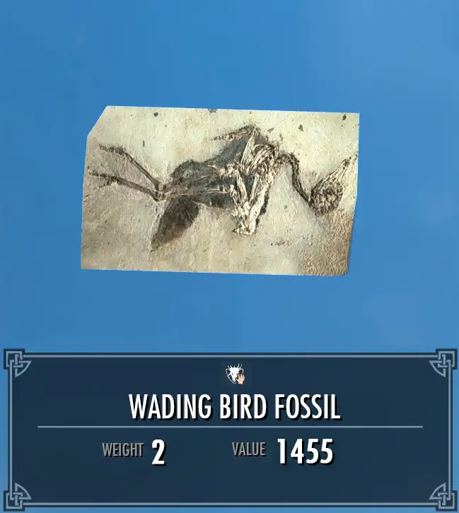 Wading Bird Fossil Legacy Of The Dragonborn Fandom