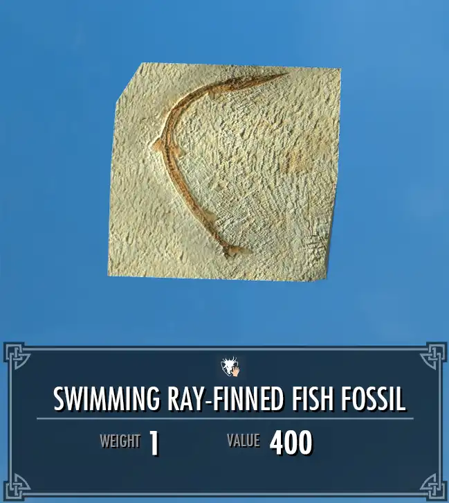 Swimming Ray-finned Fish Fossil | Legacy of the Dragonborn | Fandom