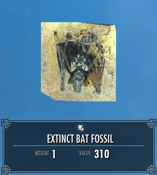 Extinct Bat Fossil | Legacy of the Dragonborn | Fandom