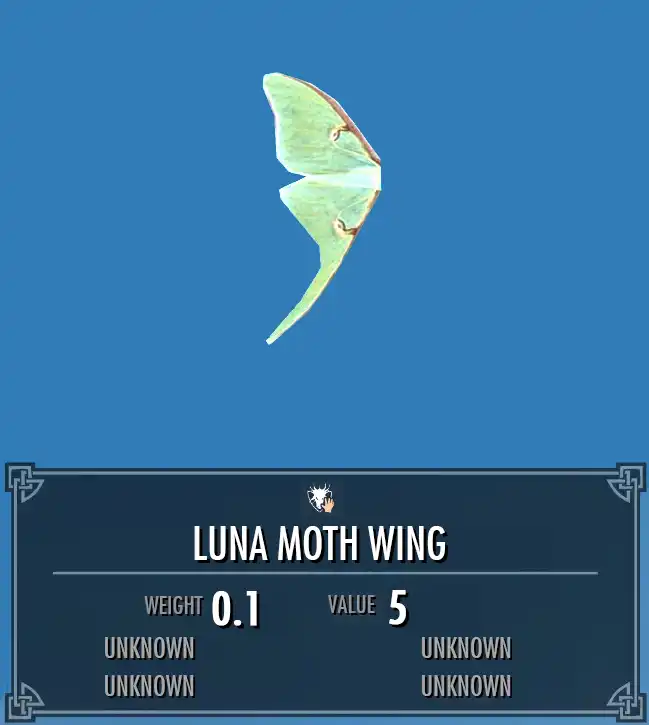 Luna Moth Wing | Legacy of the Dragonborn | Fandom