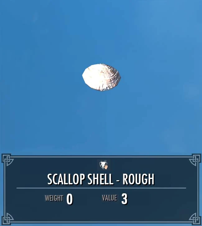 Scallop Shell - Rough | Legacy of the Dragonborn | Fandom