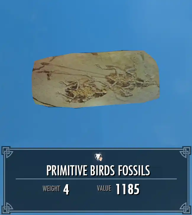 Primitive Birds Fossils | Legacy of the Dragonborn | Fandom