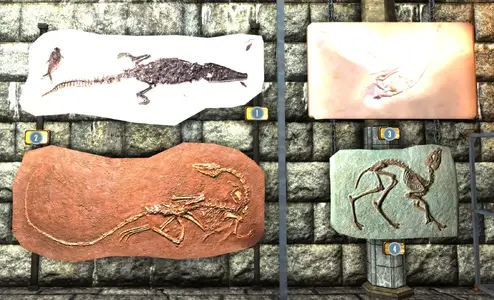 Fossil Mining Room (SSE) | Legacy of the Dragonborn | Fandom