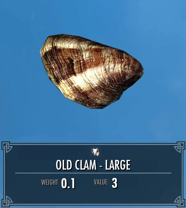 Old Clam - Large | Legacy of the Dragonborn | Fandom