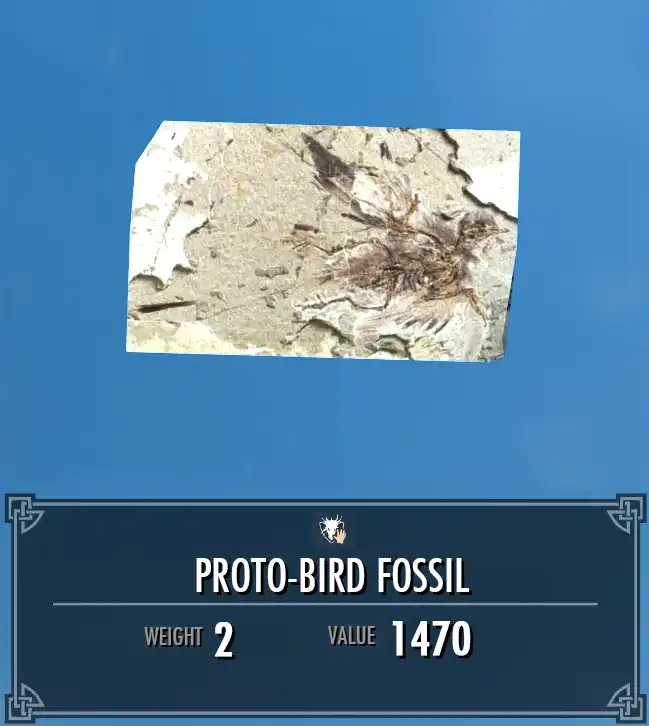 Proto-Bird Fossil | Legacy of the Dragonborn | Fandom